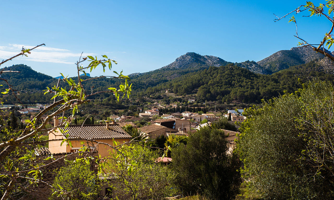 S'arraco