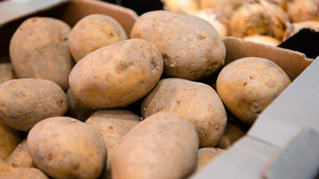 Fira de la Patata