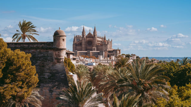Palma Region