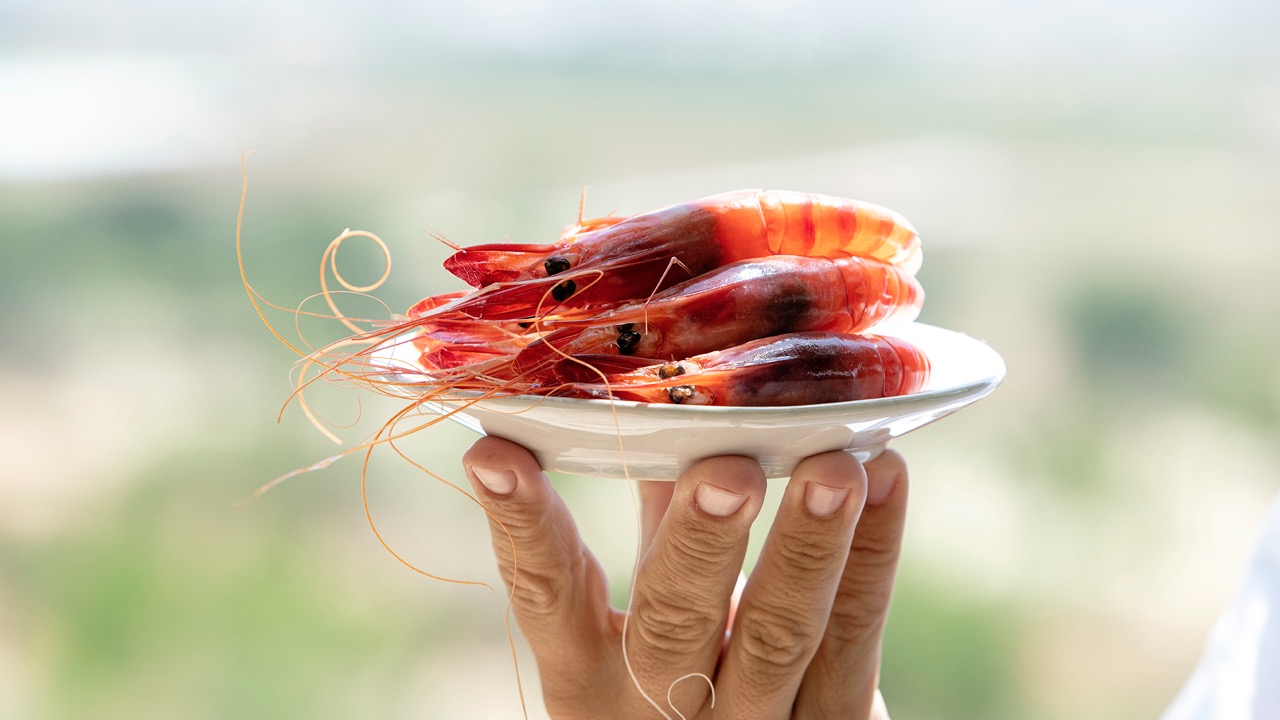 Authentic flavours in the heart of Mallorca