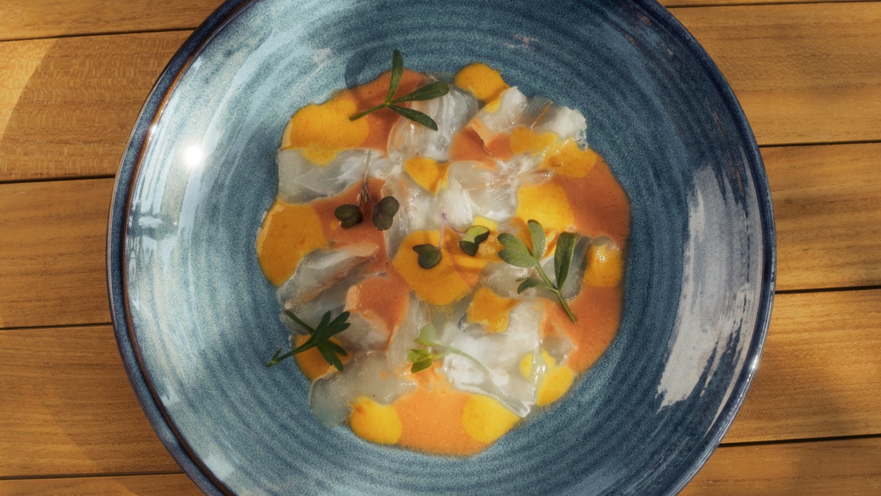 Places Property Hotels Restaurants Activities Services Magazine